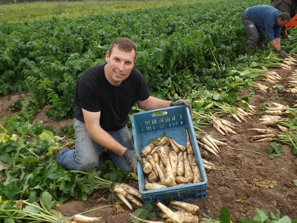 Joe's Farm Crisps - Indie Fude